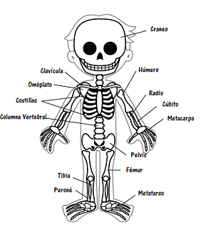 Actividades interactivas | Mi proyecto2.elp
