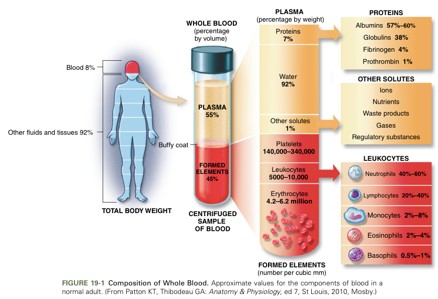 COMPOSICIÓ DE LA SANG | BIOMEDICINA 1r batxillerat