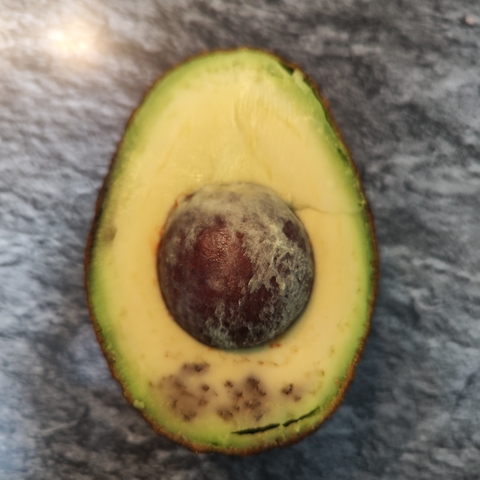 Ovoides. | Las formas geométricas de cada día.